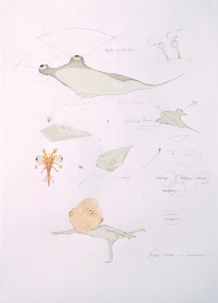 Eye Trace drawing - Hyungkoo Lee