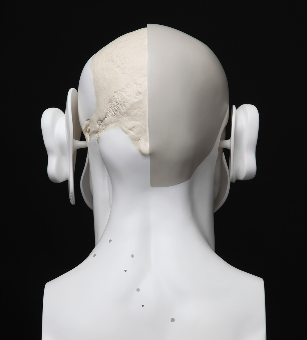 Face Trace 001 - Hyungkoo Lee